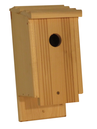 Easy-Clean Hinged Door Bird Box | Bird Gazer